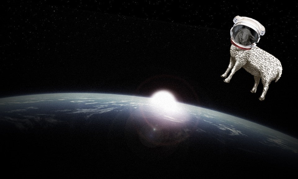 Sheep in Space | ioMerino